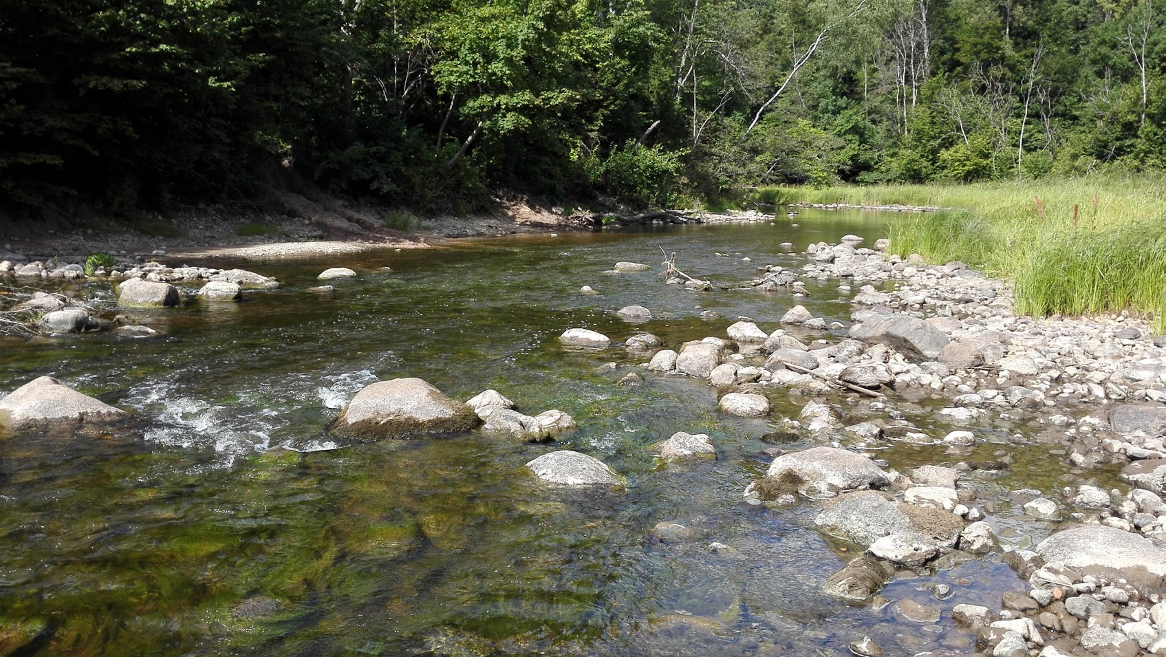 Vidzeme Highland Tour: Riga 4x4 - On The Wild Side